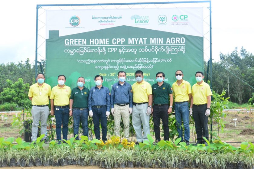 ธุรกิจเขตประเทศเมียนมา กลุ่มพืชครบวงจร(ข้าวโพด)ขับเคลื่อนโครงการปลูกป่า ...