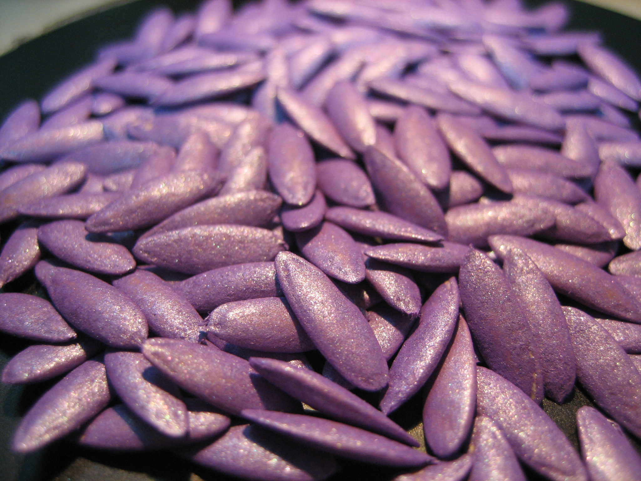 เมล็ดพันธุ์เจียไต๋ ปรับโฉมแบรนด์ใหม่ ยกระดับให้ทันสมัย ย้ำภาพผู้นำ ...