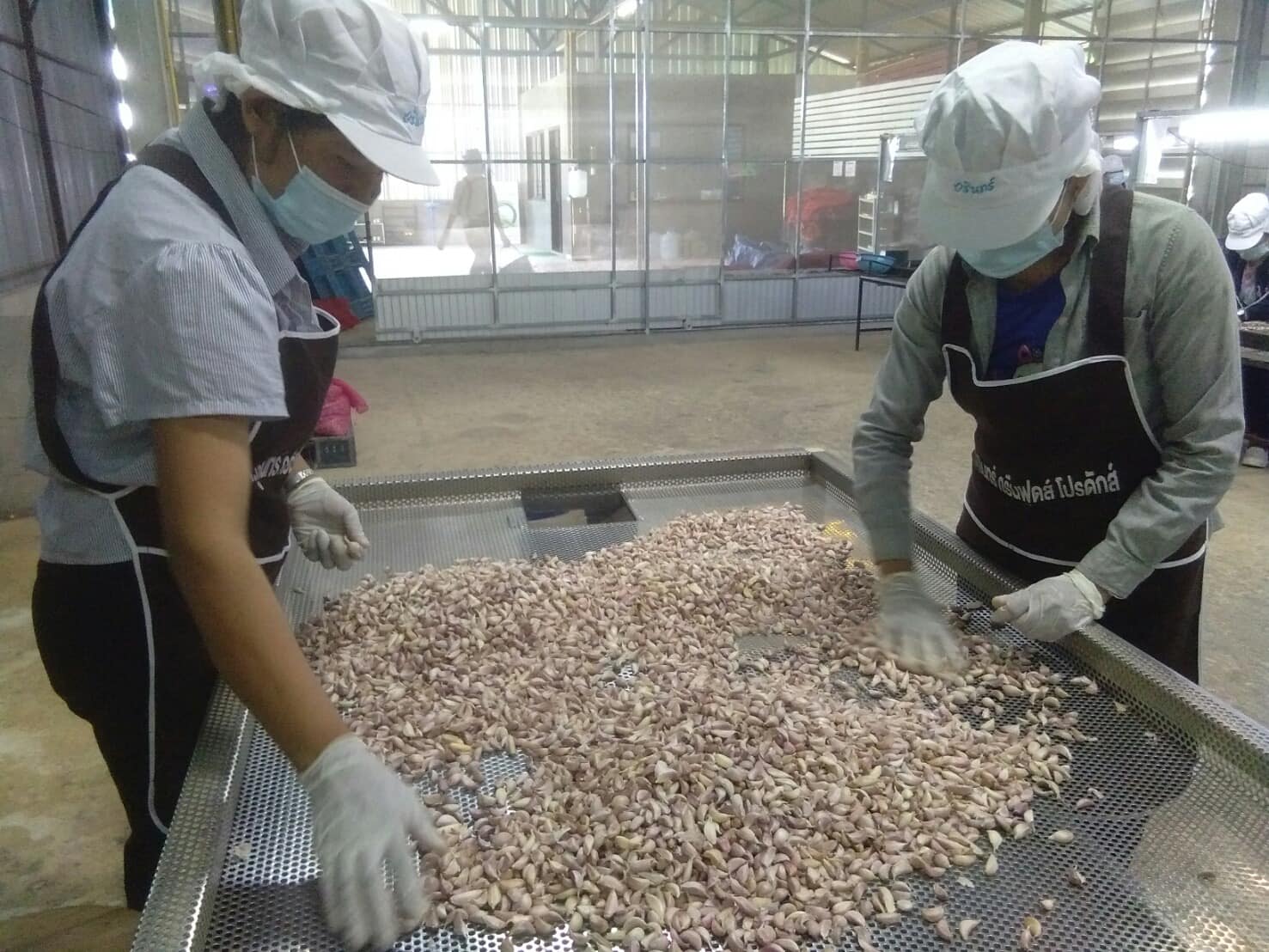 'CPF มอบของขวัญปีใหม่ คู่ค้า SMEs' ขยายเวลาให้เครดิตเทอม 30 วัน หนุนการฟื้นตัวแข็งแกร่ง