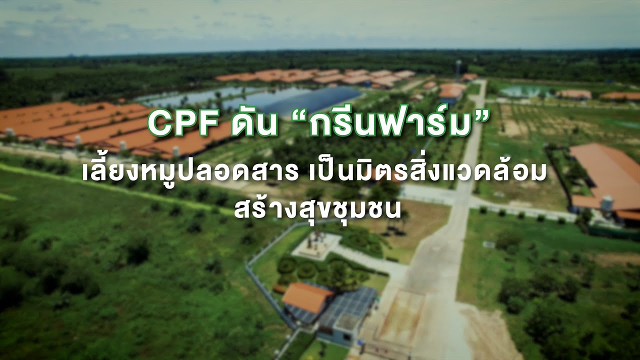 "CPF Green Farm" เลี้ยงหมูปลอดสาร เป็นมิตรสิ่งแวดล้อม สร้างสุขชุมชน