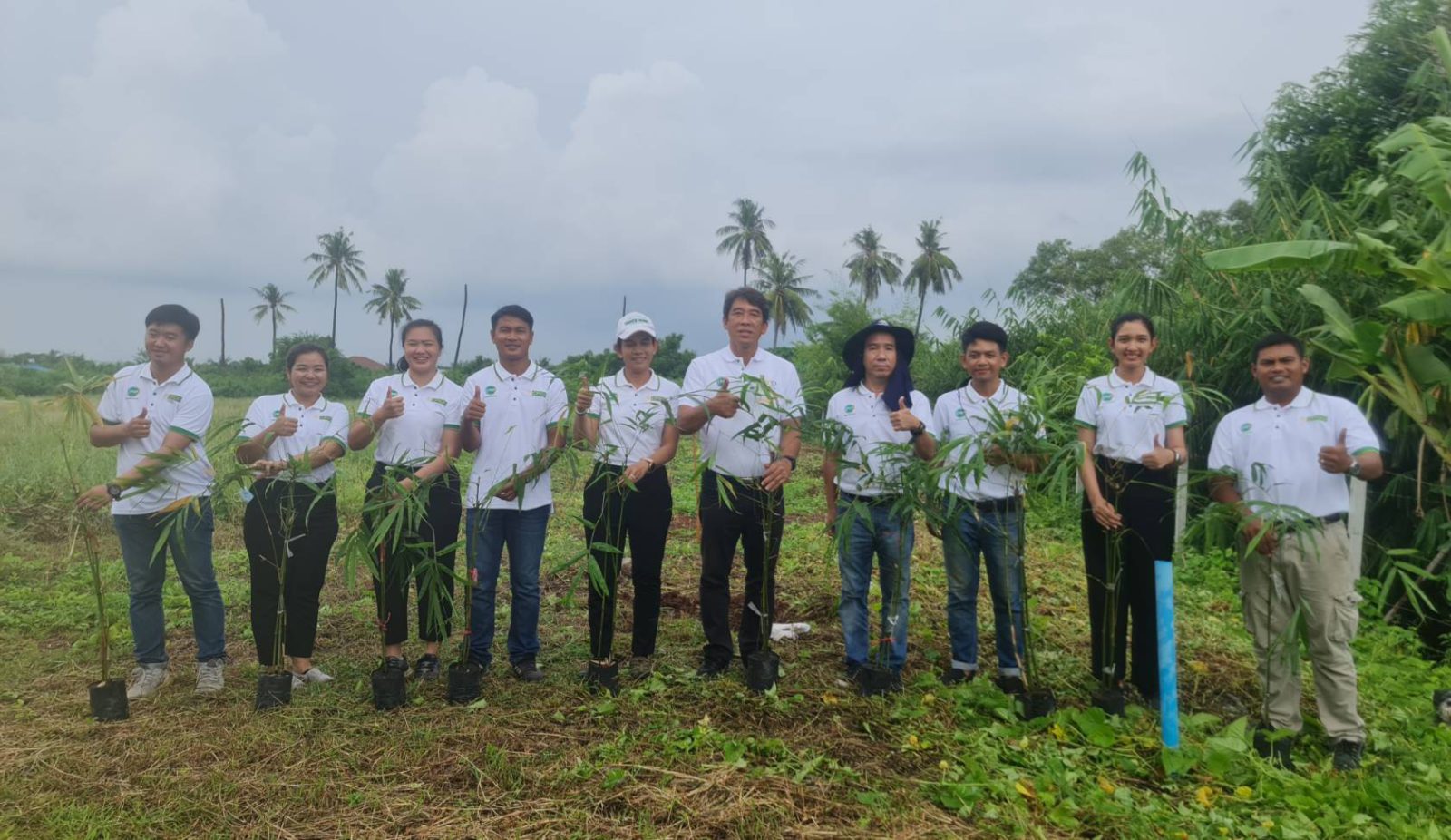 ศูนย์ฟาร์มโปรอู่ทอง จ.สุพรรณบุรี เดินหน้าปลูกไม้ยืนต้น ตามโครงการปลูกป่าในบ้าน มุ่งสู่เป้าหมาย ...