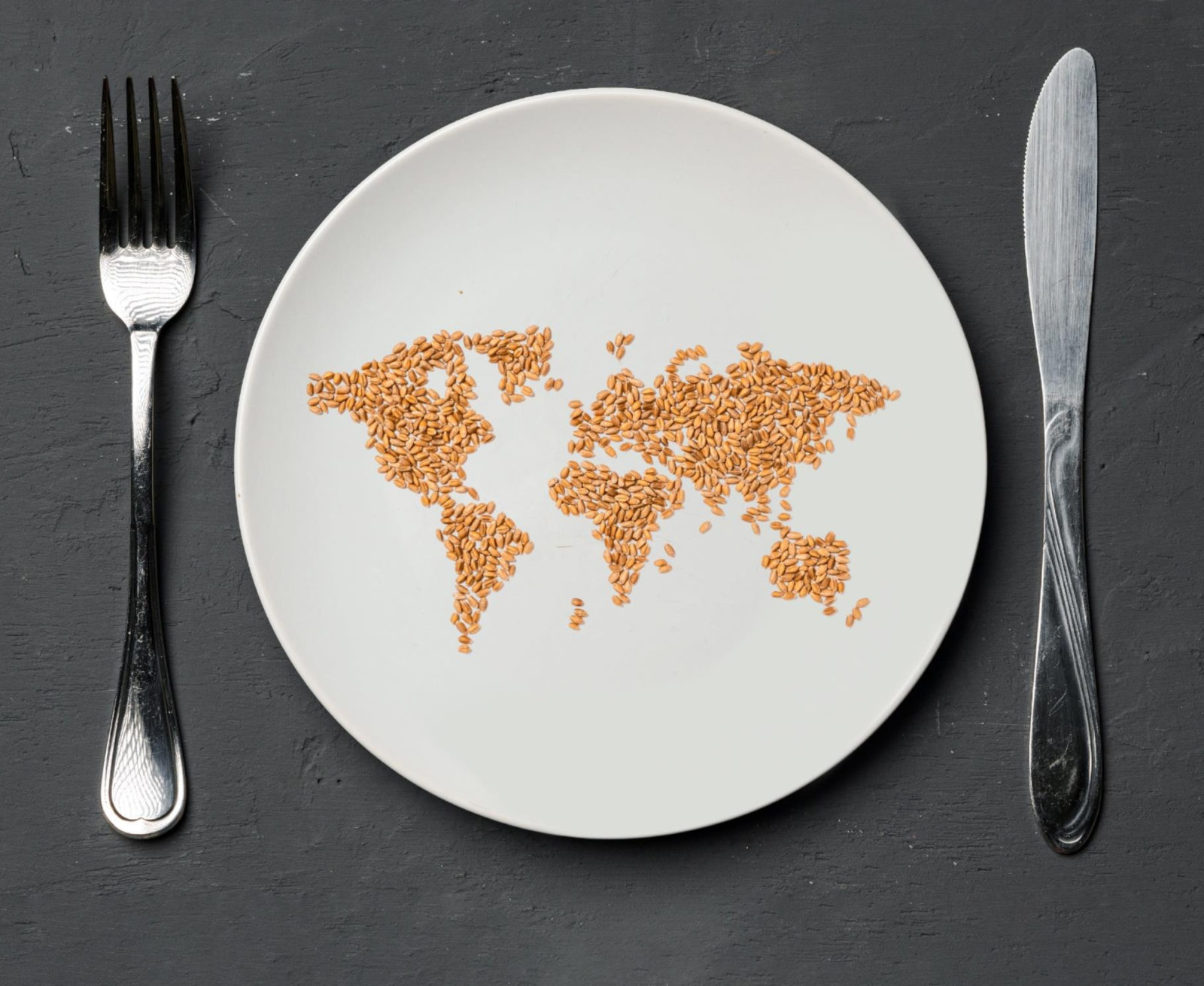 EIC วิเคราะห์วิกฤติอาหารโลก “โอกาส” ท่ามกลางความเสี่ยงในระยะยาวของไทย