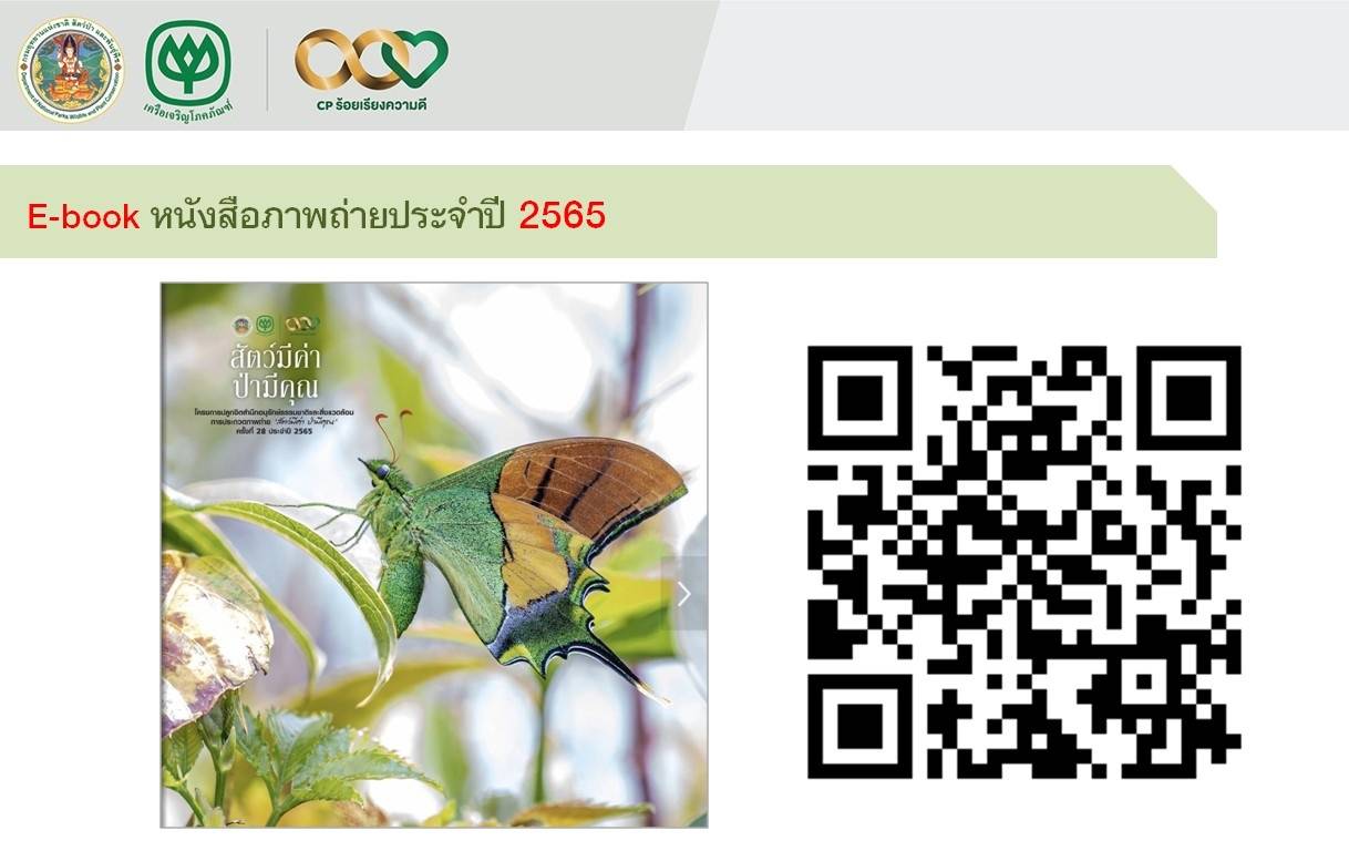 เชิญชม E-BOOK หนังสือภาพถ่าย 'สัตว์มีค่า ป่ามีคุณ' ประจำปี 2565 ได้แล้ววันนี้