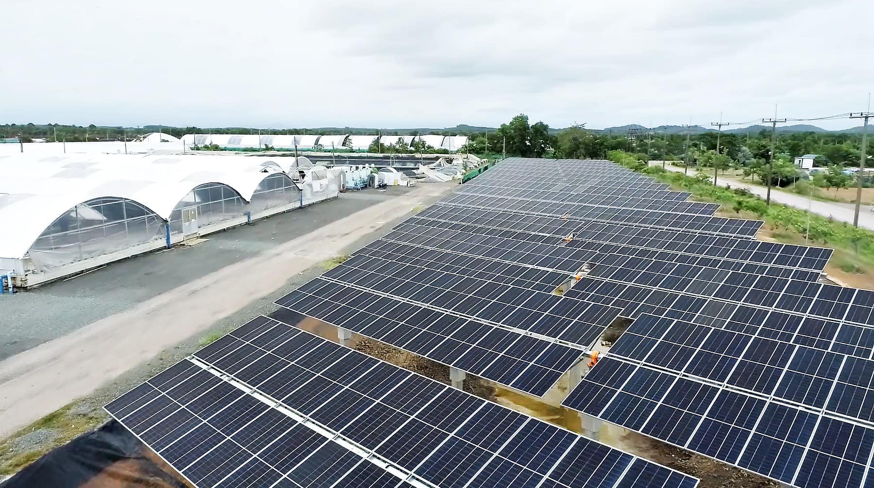 CPF รุกติดตั้งโซลาร์ เซลล์ ในฟาร์ม-โรงงาน มากกว่า 180 แห่ง ภายในปี 2566 มุ่งสู่ Net-Zero