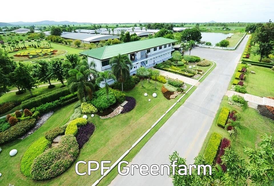 CPF เดินหน้า "Greenfarm - Smart Farm" ยกระดับการเลี้ยงหมูปลอดภัยเป็นมิตรกับสิ่งแวดล้อม