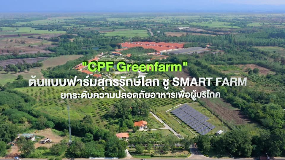 CPF เดินหน้า "Greenfarm - Smart Farm" ยกระดับการเลี้ยงหมูปลอดภัยเป็นมิตรกับสิ่งแวดล้อม
