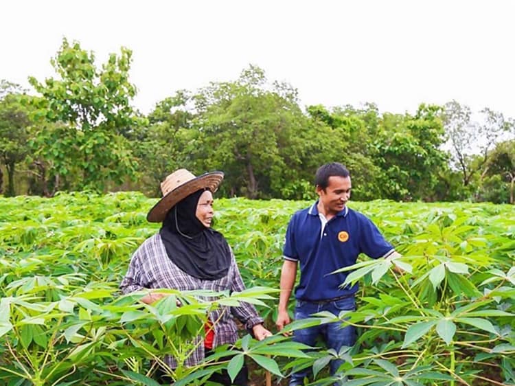 CPF เดินหน้า "Greenfarm - Smart Farm" ยกระดับการเลี้ยงหมูปลอดภัยเป็นมิตรกับสิ่งแวดล้อม