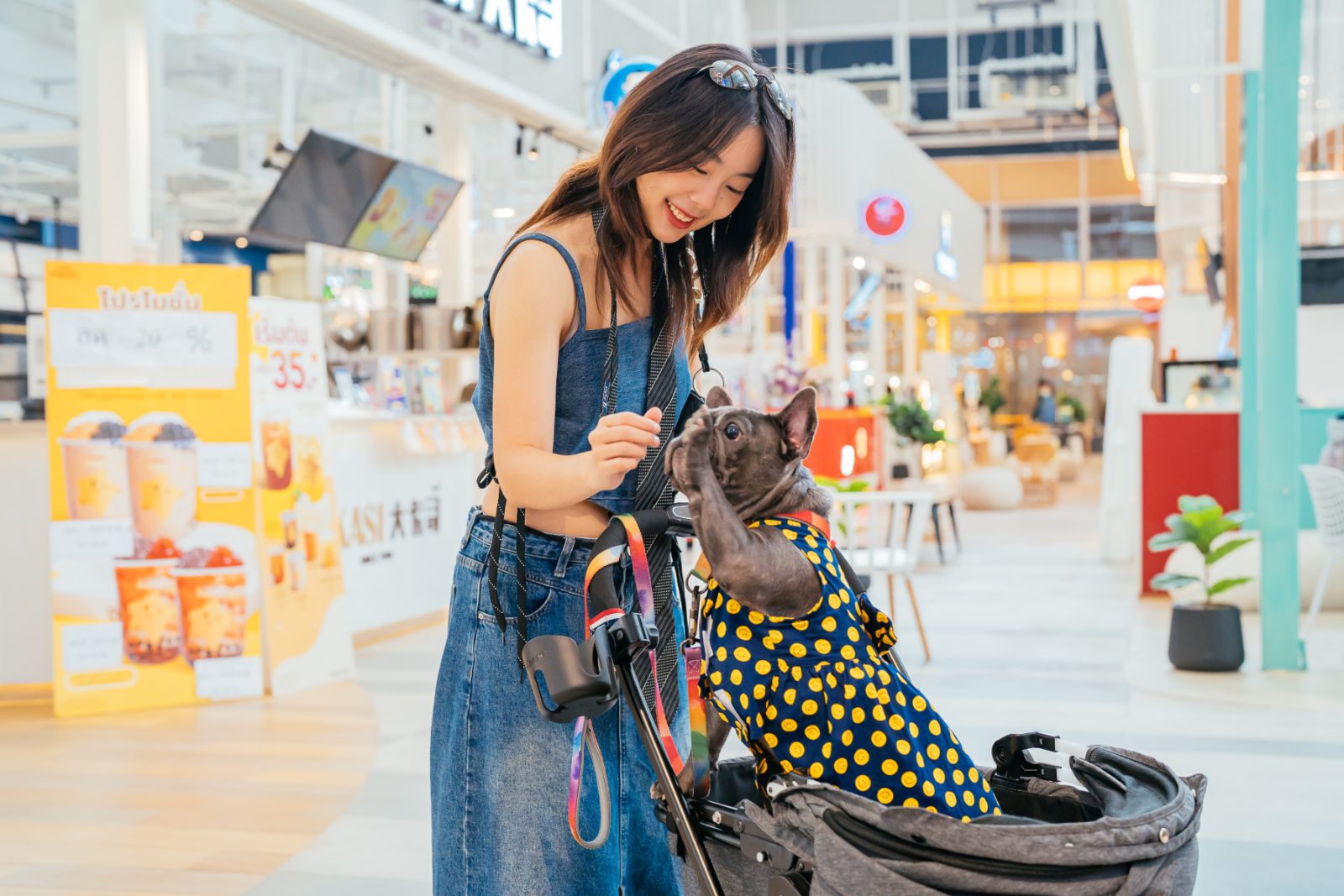 เหล่าทาสได้เฮ! โลตัส ชู Pet Friendly Mall นำร่องกว่า 100 สาขาทั่วไทย ...