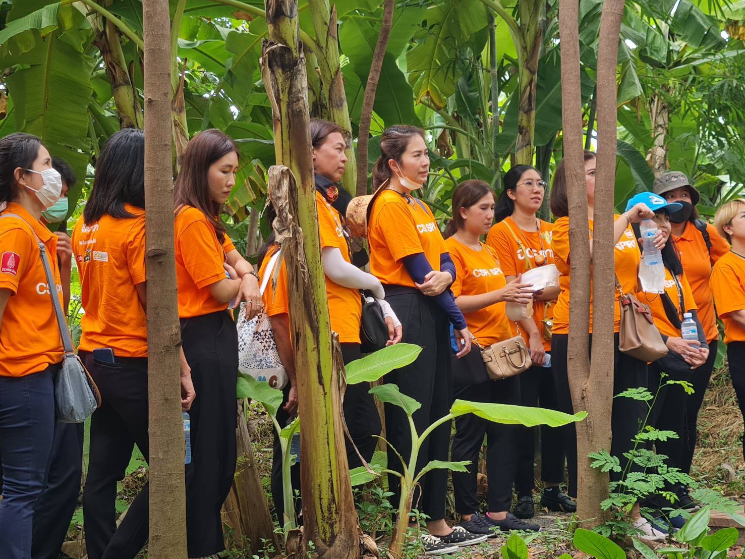 พนักงานจิตอาสา CSR SPIRIT ธุรกิจพืชครบวงจร ข้าว ขนส่งและบริการ เครือเจริญโภคภัณฑ์ เข้ารับการฝึก ...