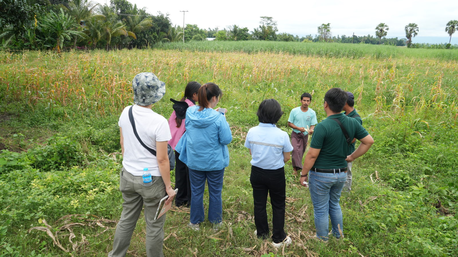 Cpp myanmar กับกิจกรรม internal audit FSA เตรียมเข้าสู่การตรวจรับรอง มุ่งยกระดับมาตรฐานการเกษตร ...