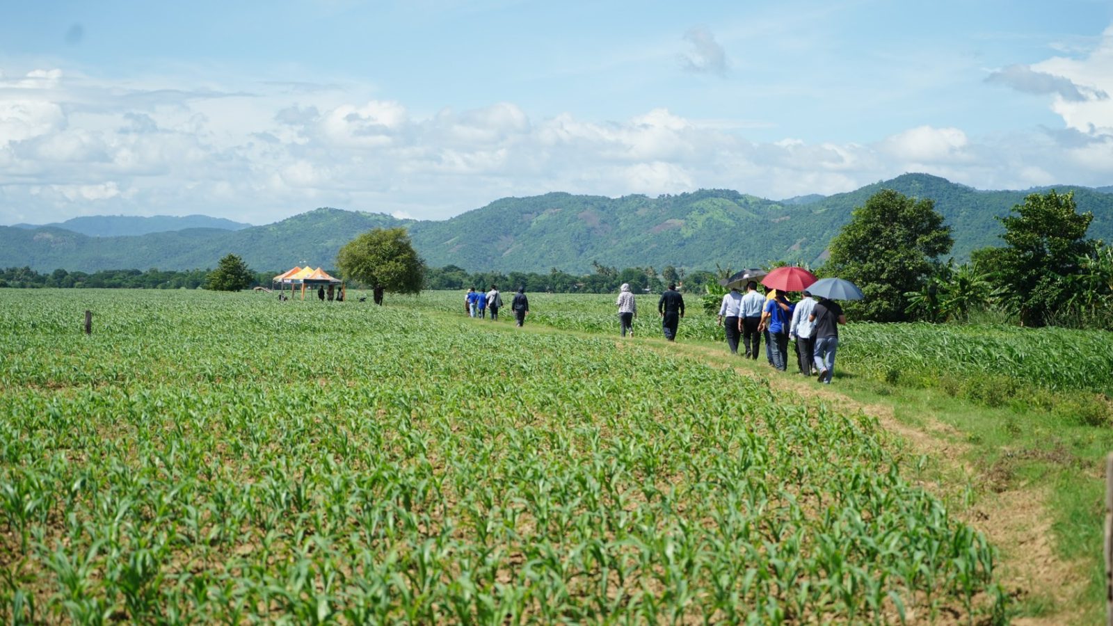 CPP Myanmar เริ่มระบบทวนสอบย้อนกลับ(traceability)กับทุกภาคส่วน