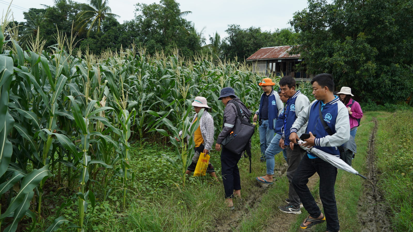 CONTROL UNION เปิดการตรวจประเมินเพื่อรับรอง FSA Cpp myanmar