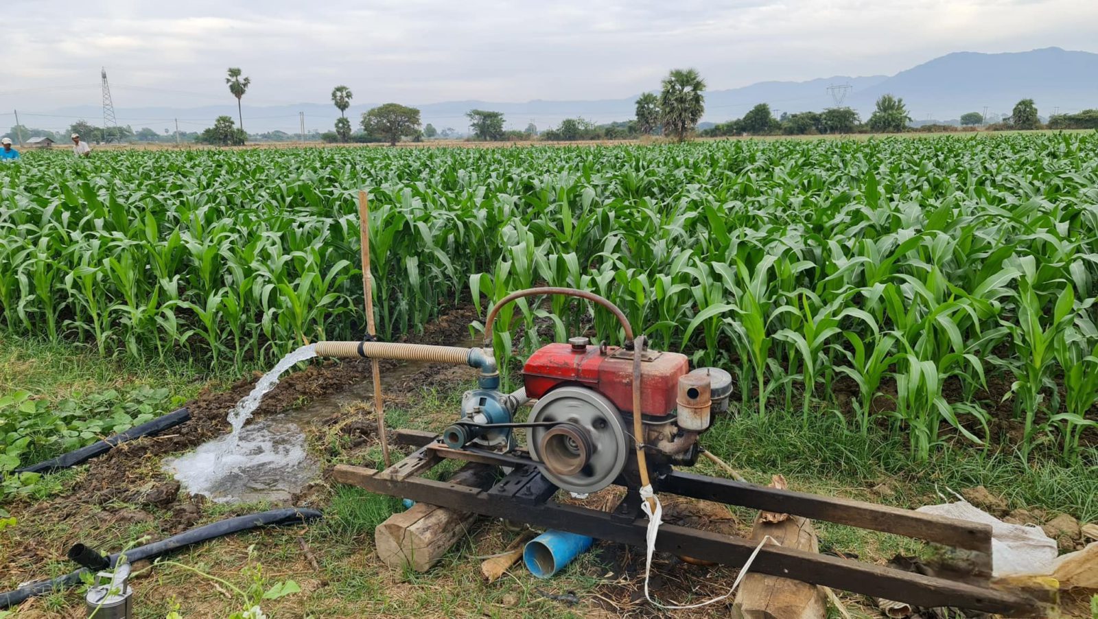 CPP Myanmar ขับเคลื่อนการพัฒนาแหล่งน้ำช่วยเหลือเกษตรกร สู่การมีรายได้ 365 วัน